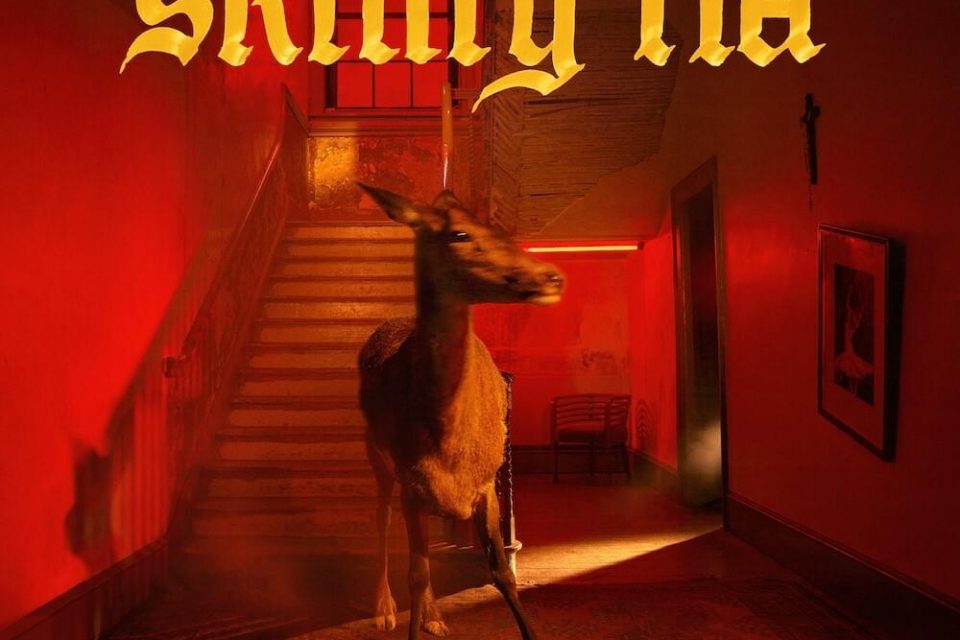 Album review: Skinty Fia – Fontaines D.C