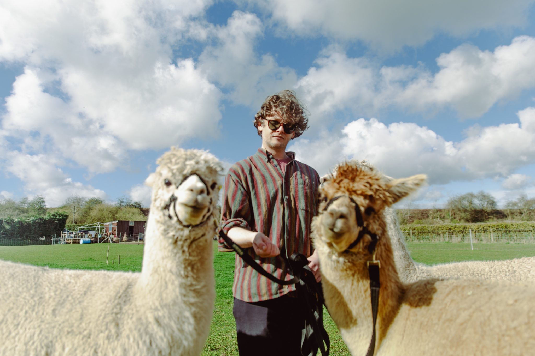 I assume you weren’t in the studio with Elton John (for the Yard Act ...