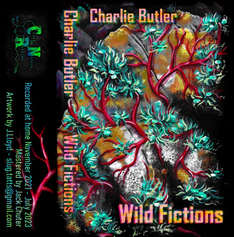 Charlie Butler – Wild Fictions (album review) - SNACK: Music, film ...