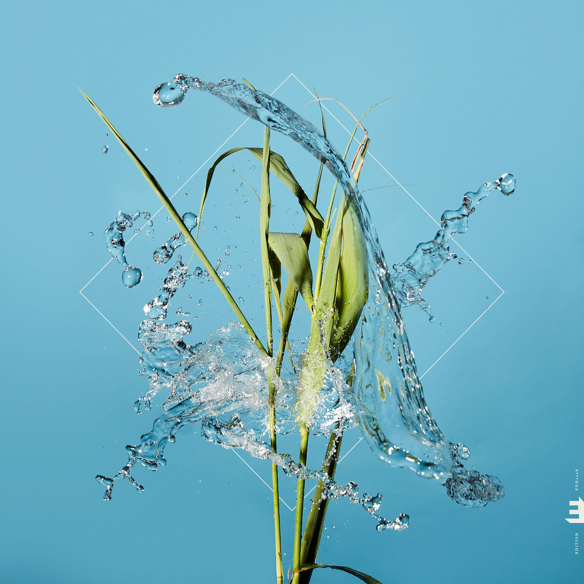 Accompanied by bassist David Bowden and drummer Stephen Henderson ...